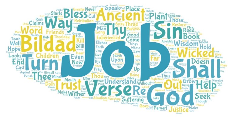 Job 8 Summary – Explaining The Book