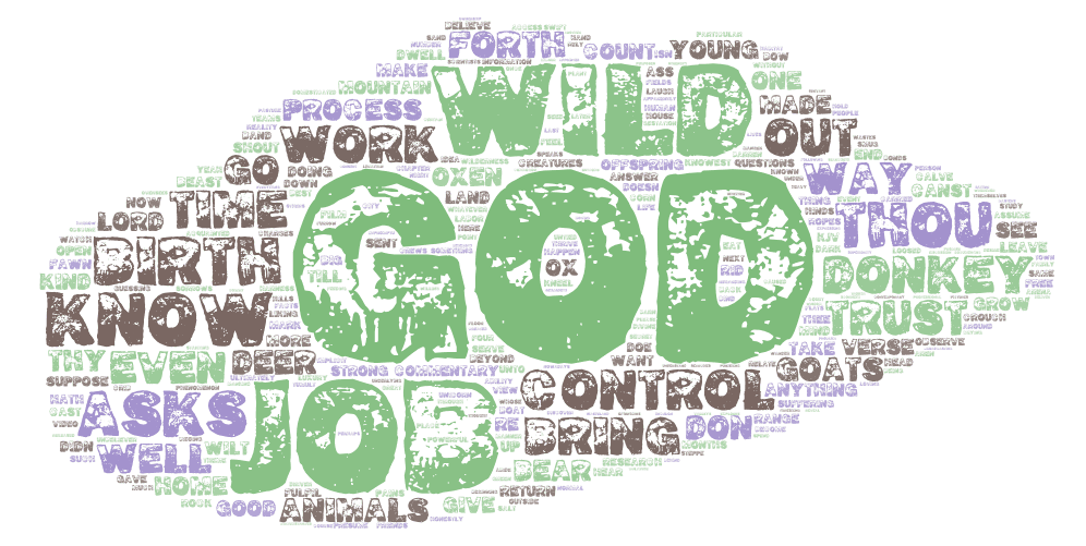 Job 39 Commentary: Verses 1-12 – Explaining The Book